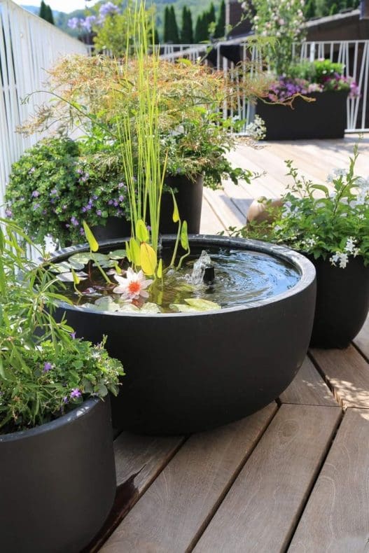 20 Unique Patio Pond Ideas