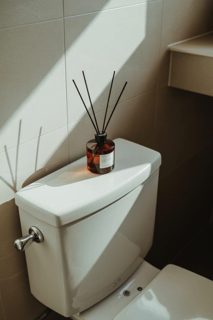 20+ Back of Toilet Decor Ideas