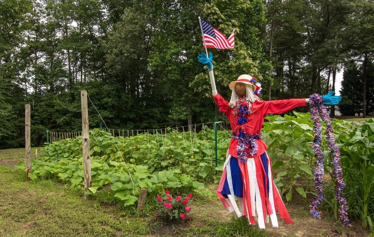 17 Scarecrow Ideas to Try This Fall - Oh Curiosity