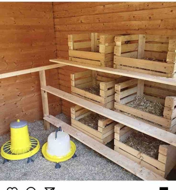 12 Creative Nesting Boxes DIY for Your Chickens