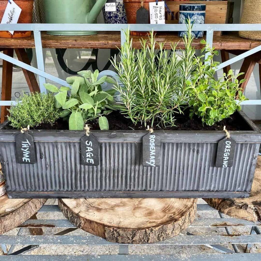 16 Herb Planter Ideas for Small Kitchens & Apartments